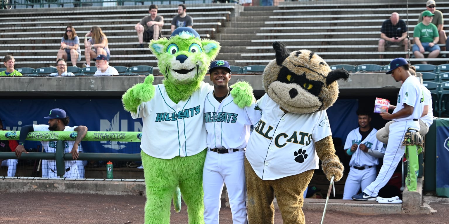 Hillcats to Celebrate 30th Anniversary in 2024 | MiLB.com