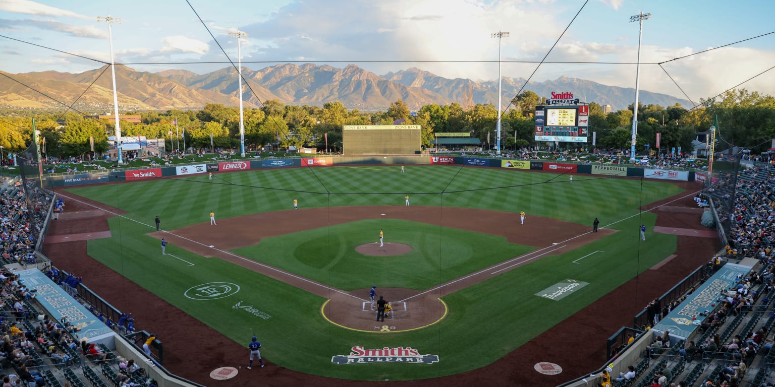 Bees Drop Season Finale, Conclude Historic Run at Smith's Ballpark ...