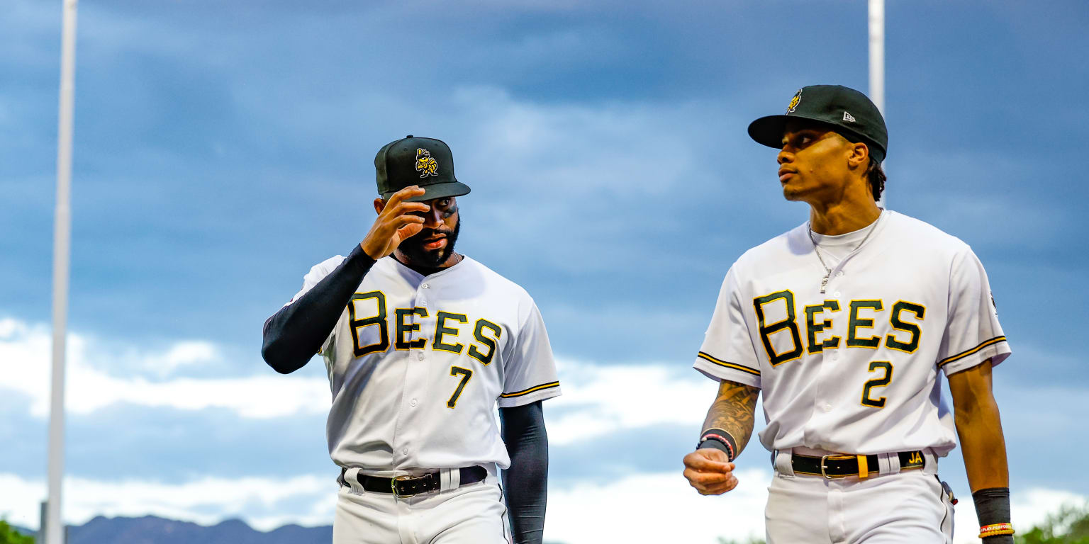 Bees Comeback Falls Short | MiLB.com