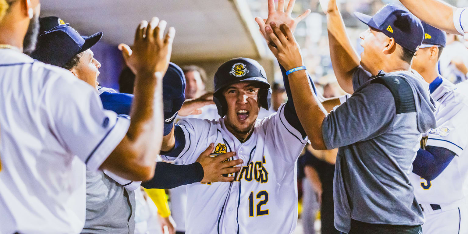 RiverDogs Overcome Slow Start at Plate in 3-2 Victory Saturday Night ...