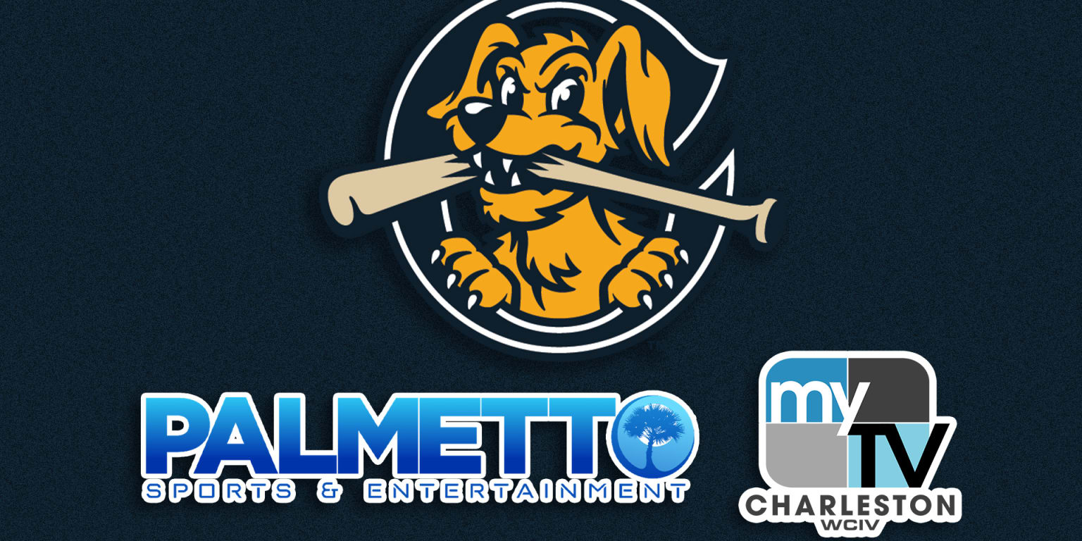 RiverDogs to televise 26 home games with local partners | MiLB.com