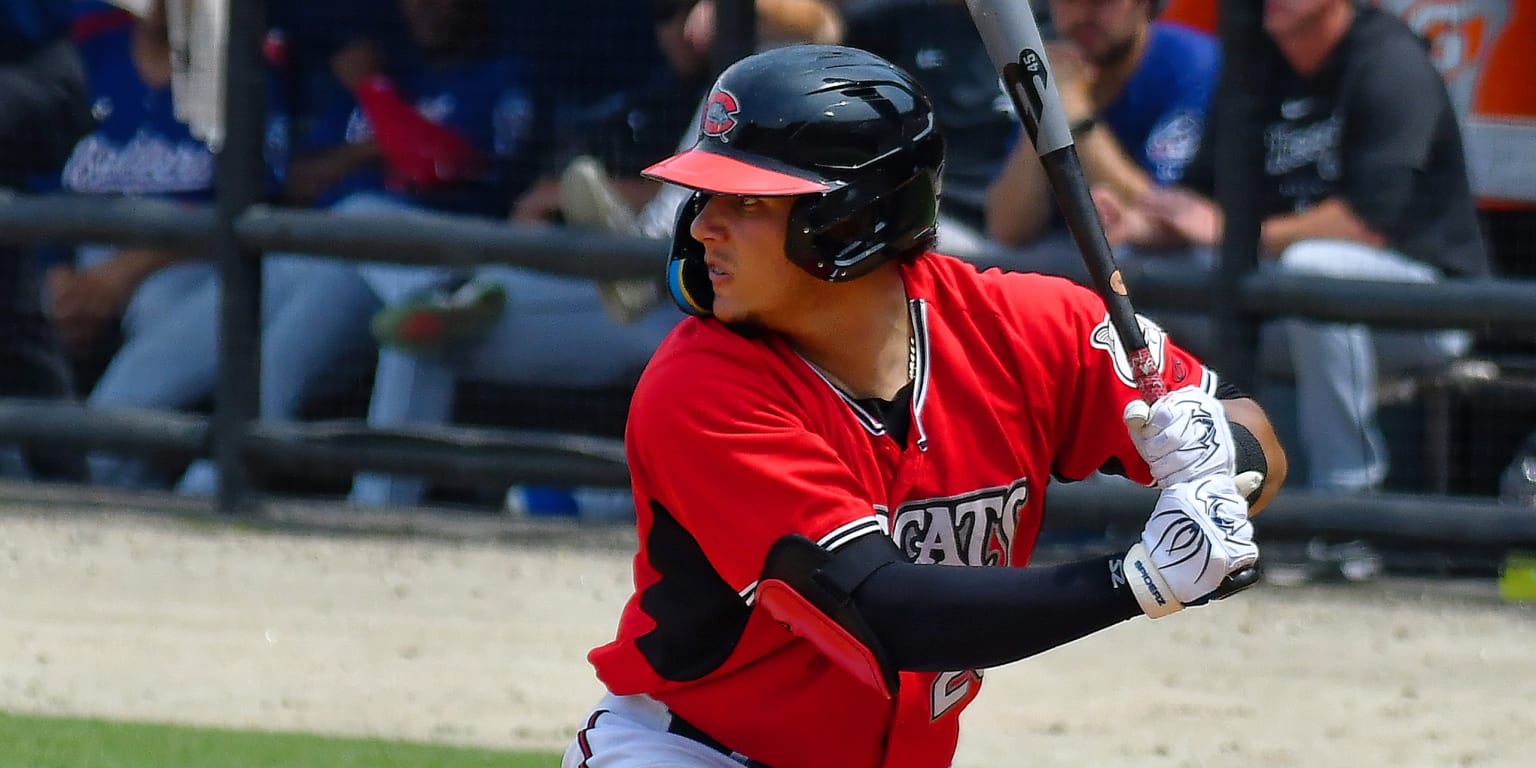 Castillo Drives in Two as Mudcats Take Series Lead 3-2 | MiLB.com