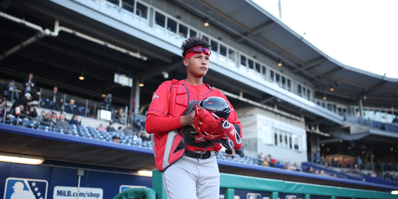 Sea Dogs Bash Two Homers in 6-3 Loss | MiLB.com