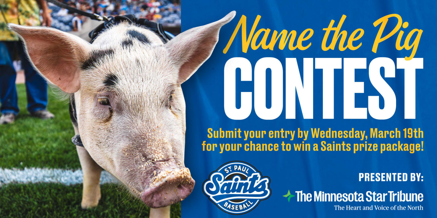 What's In A Name? Saints Hold Month-Long Name the Pig Contest Presented ...