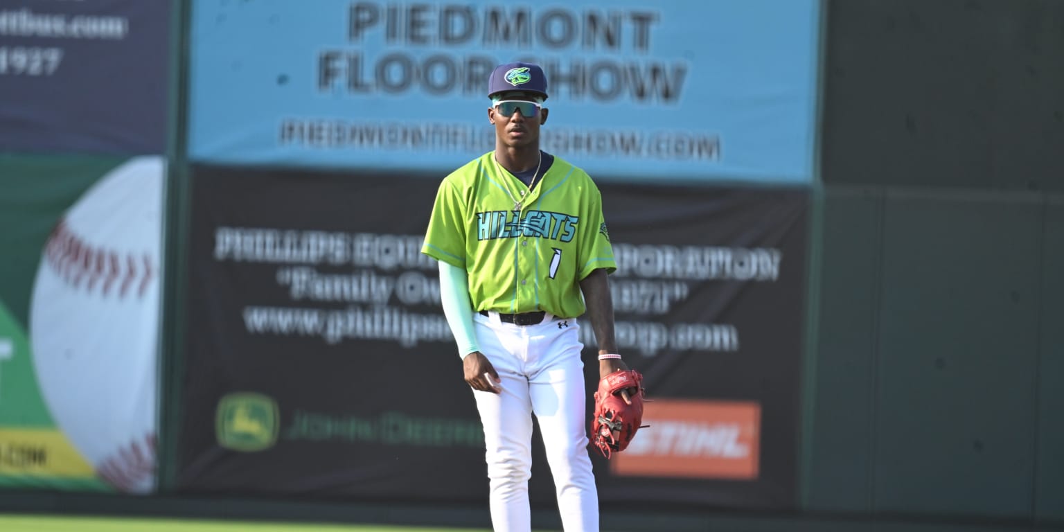 Hillcats Miraculous Comeback Completed by Francisca Walk-Off | MiLB.com