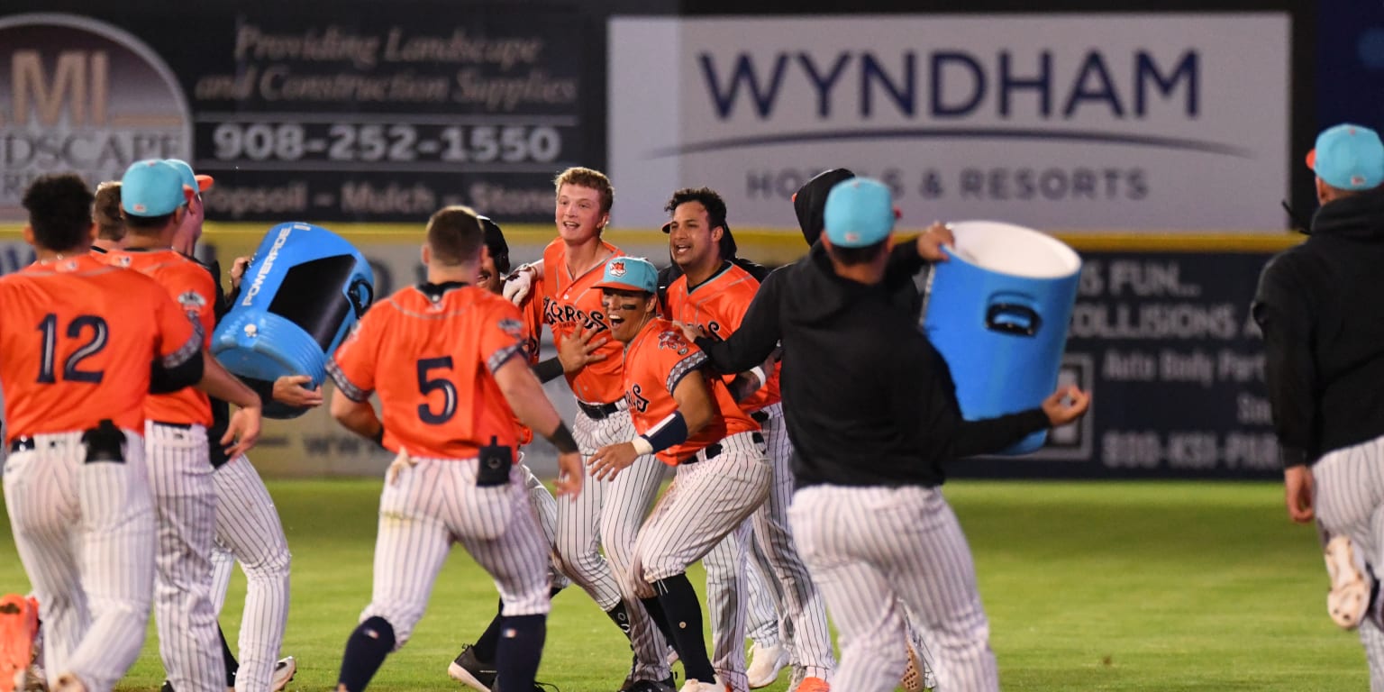 Walk-Off Winners On T.J. Rumfield's Sac Fly | MiLB.com