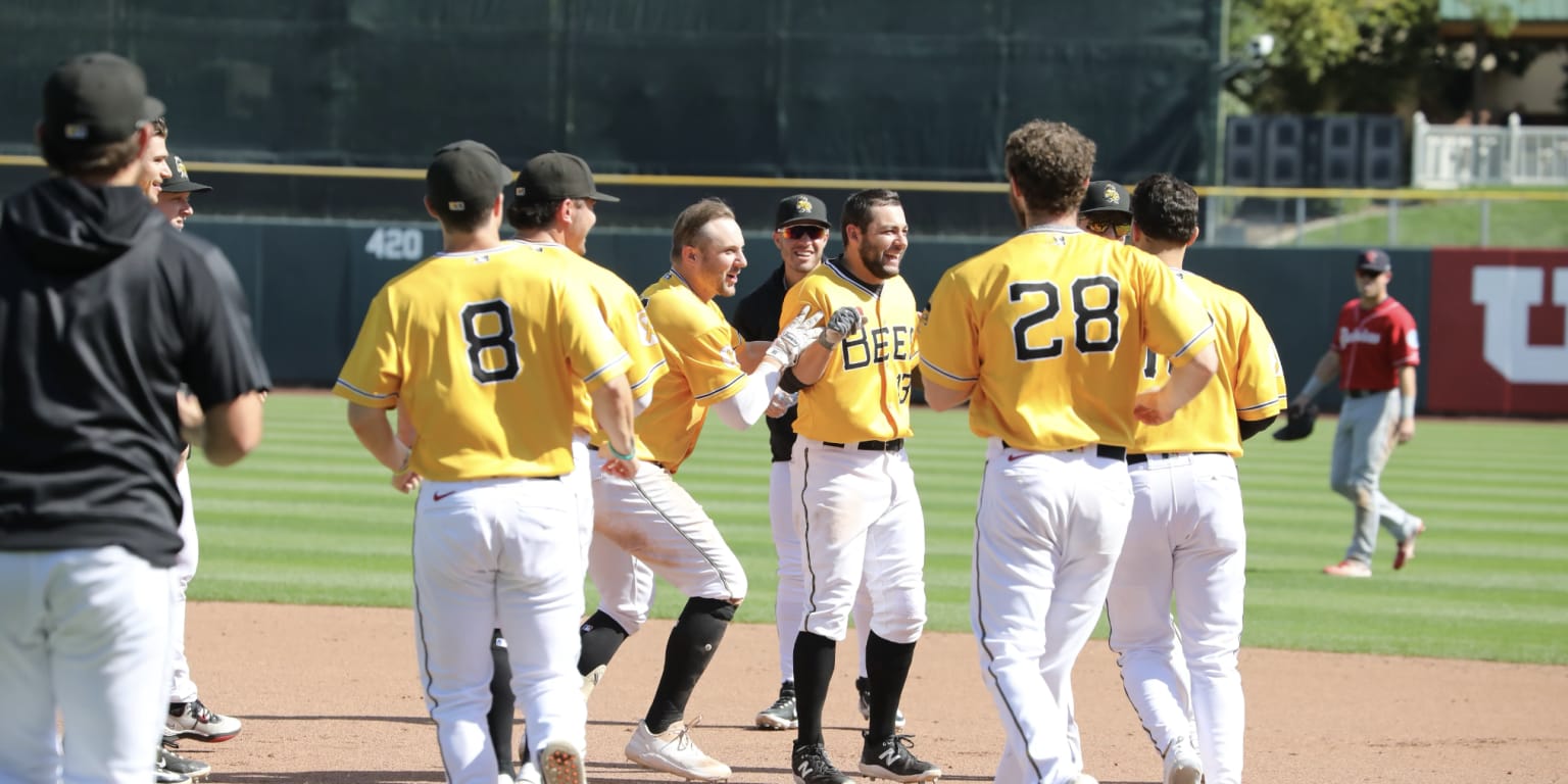 Bees Walk Off For Third Time This Week | MiLB.com