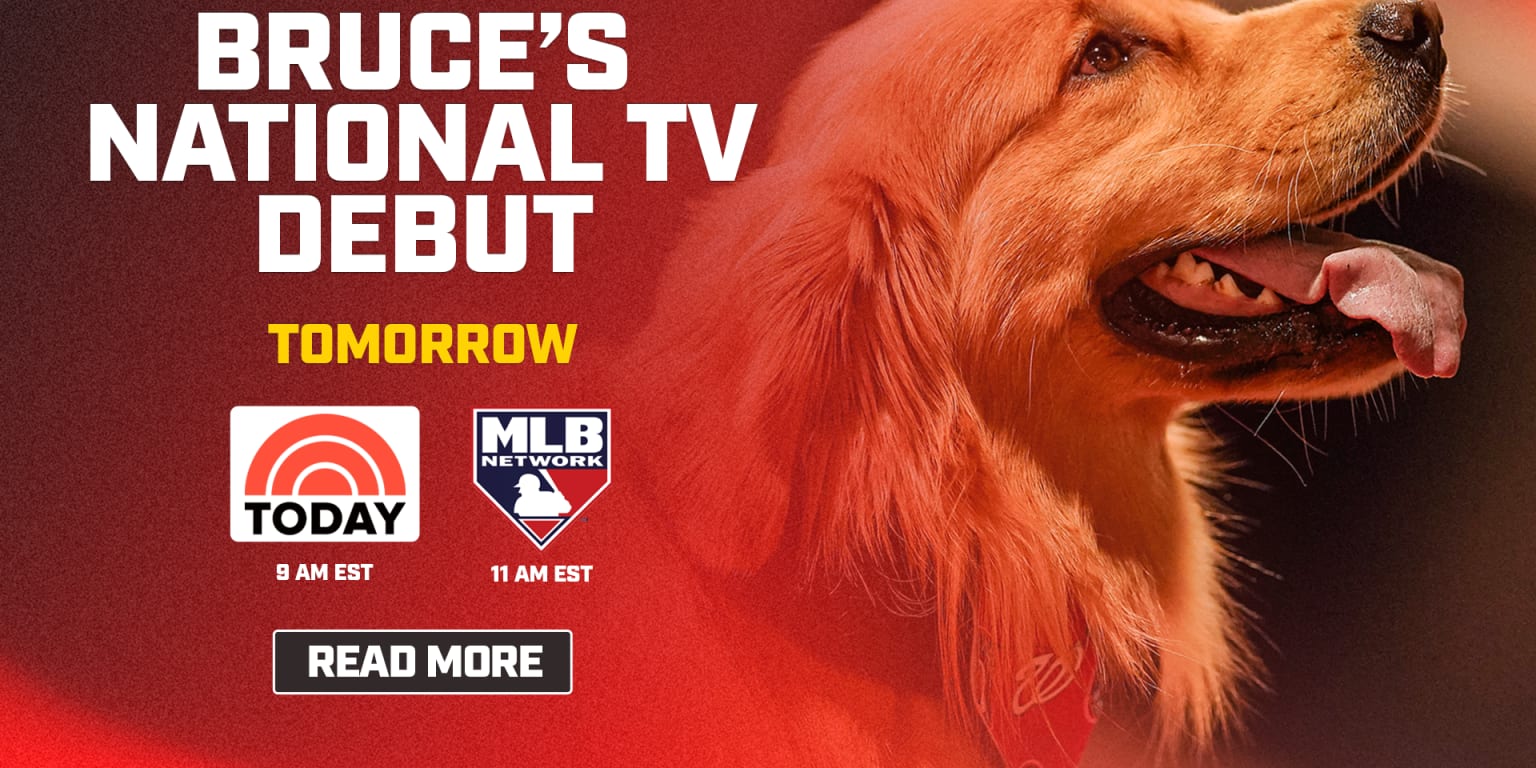 Bruce Natty TV | MiLB.com