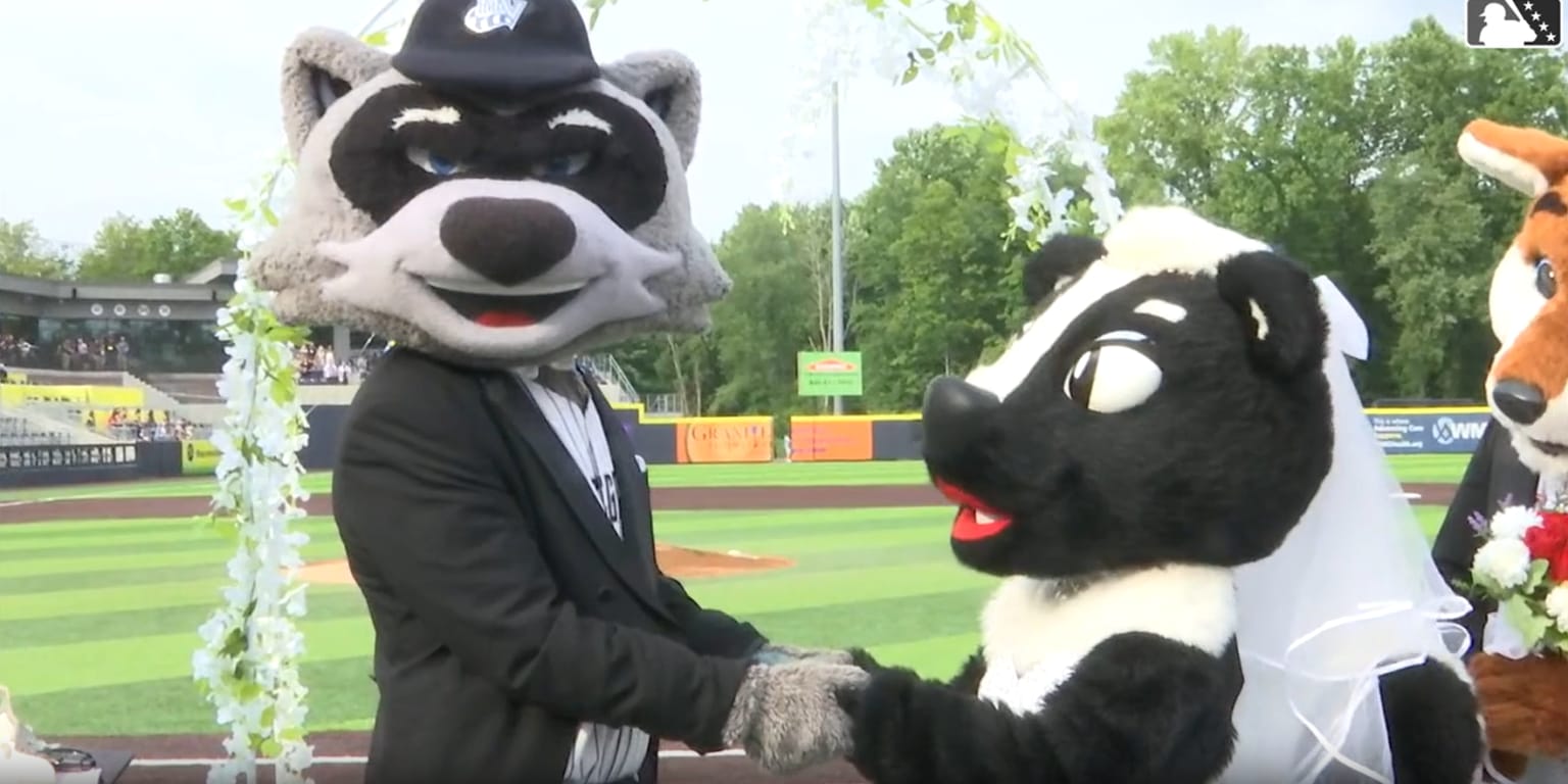 Hudson Valley Renegades mascots Rascal and Rosie get married | MiLB.com