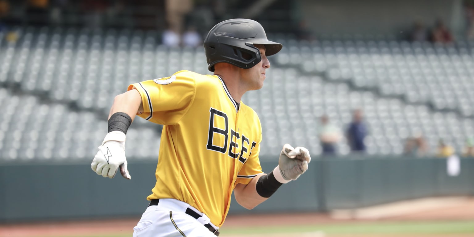 Bees Drop Wednesday Matinee | MiLB.com