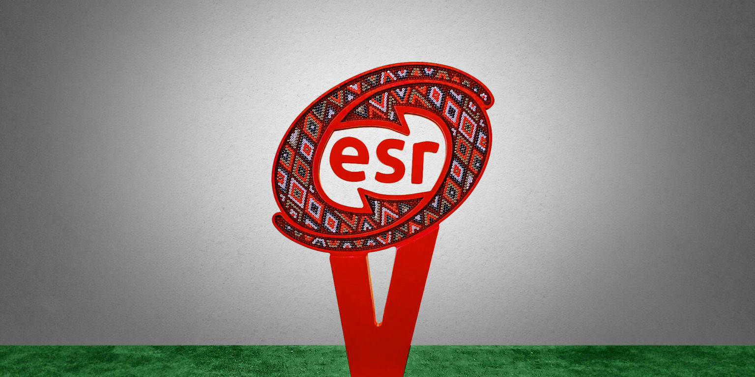 Leones: Reciben su quinto distintivo ESR ® | MiLB.com