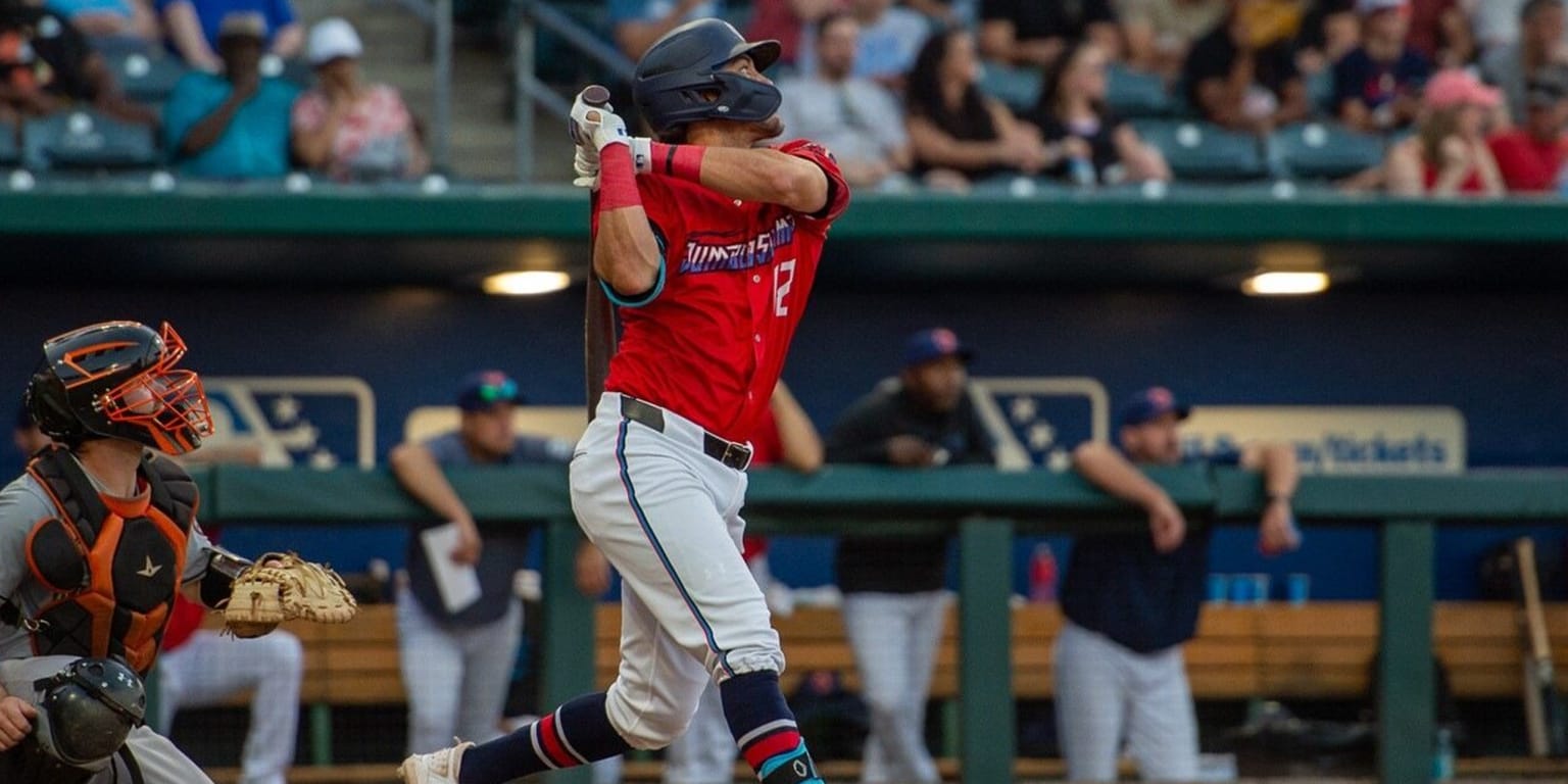 Ninth-inning rally falls short in 8-6 loss | MiLB.com