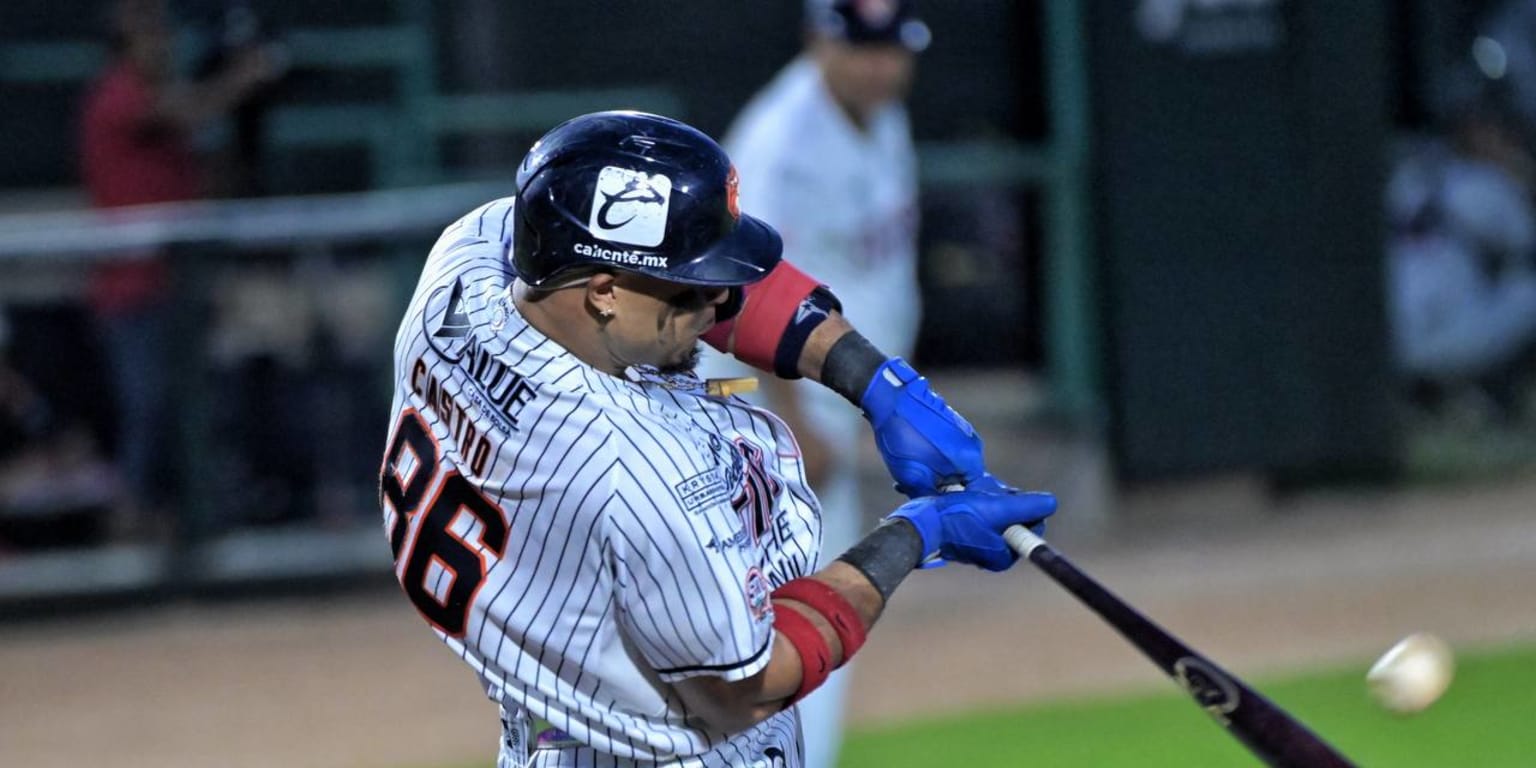 Bravos: Carlos Castro se une para la temporada 2025 de la LMB | MiLB.com