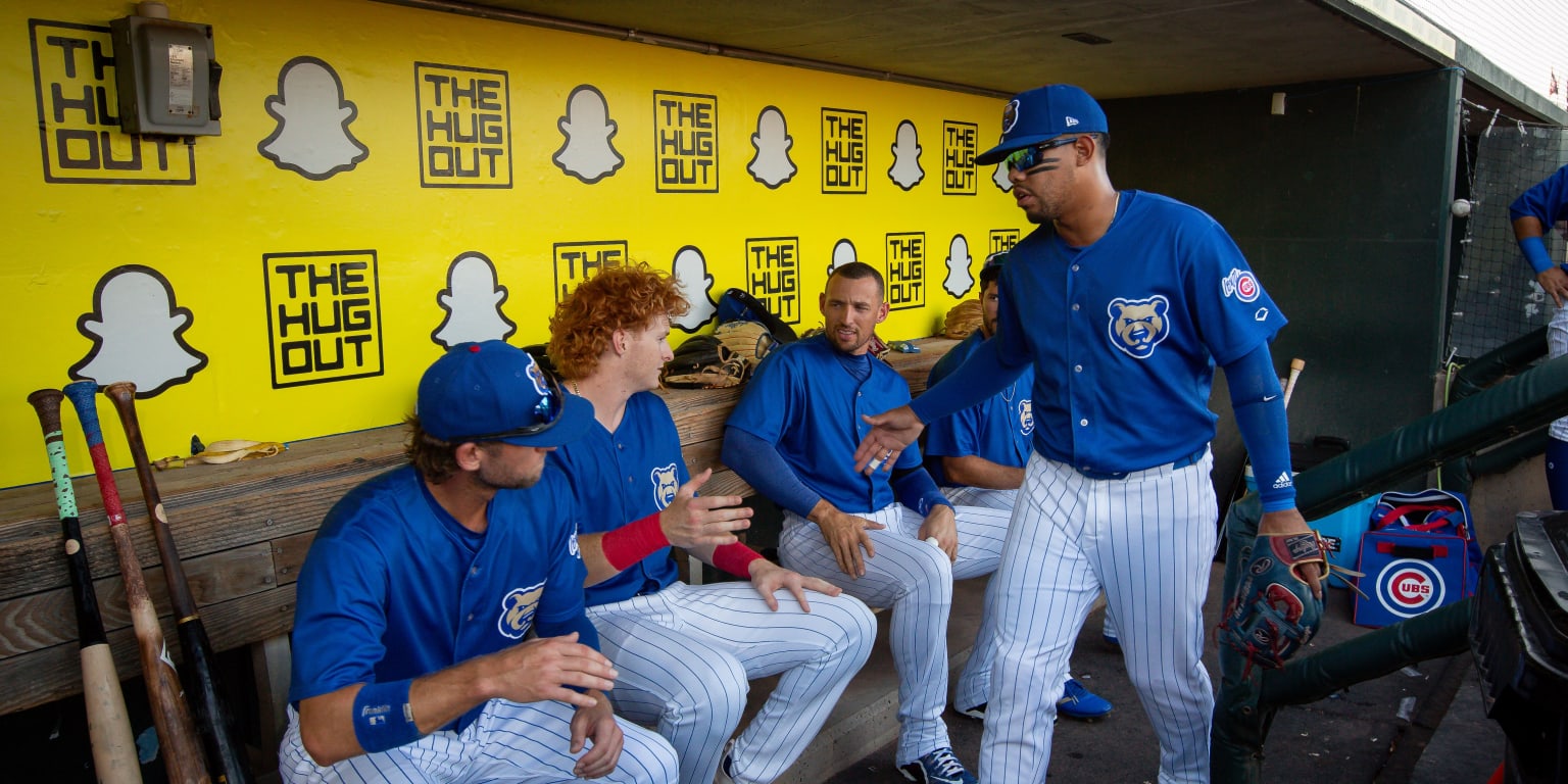 Minor League Baseball partners with Snapchat | MiLB.com