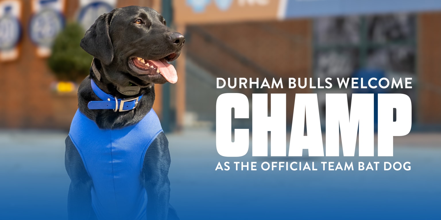 Champ Announced As Bat Dog For 2025 Season | MiLB.com