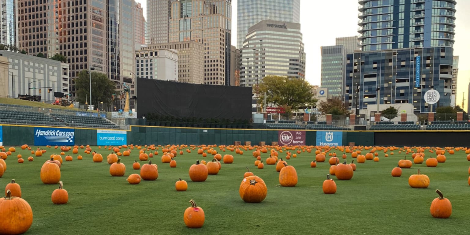 Spend the perfect fall day at Truist Field this Saturday | MiLB.com