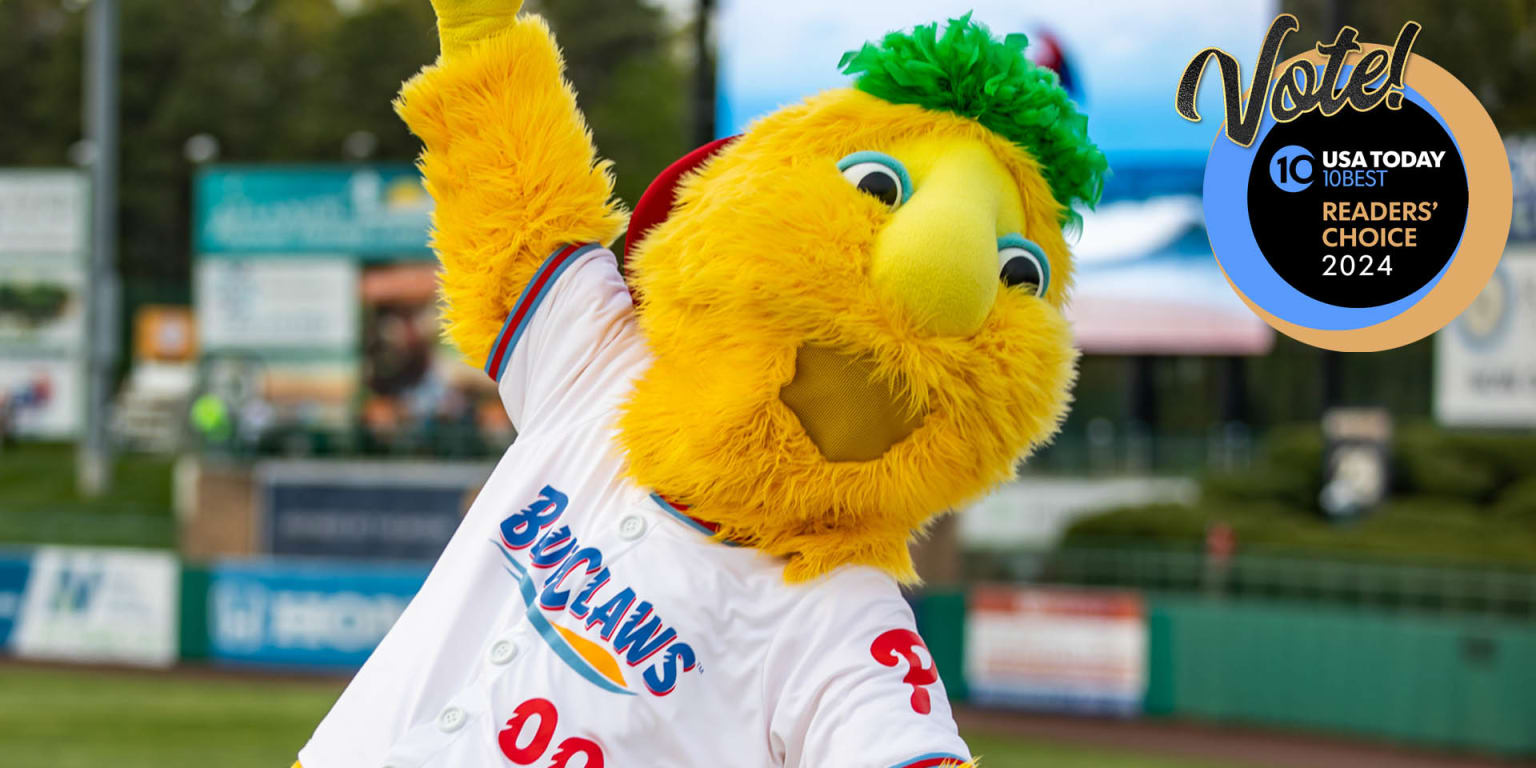 Vote Buster - USA Today's Best Mascot Poll | MiLB.com