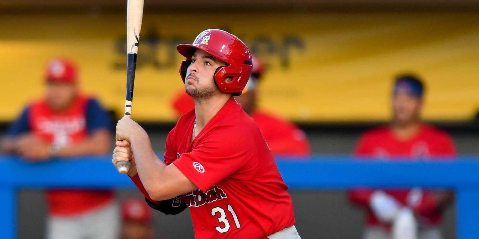 Palm Beach Falls on Saturday Night | Cardinals