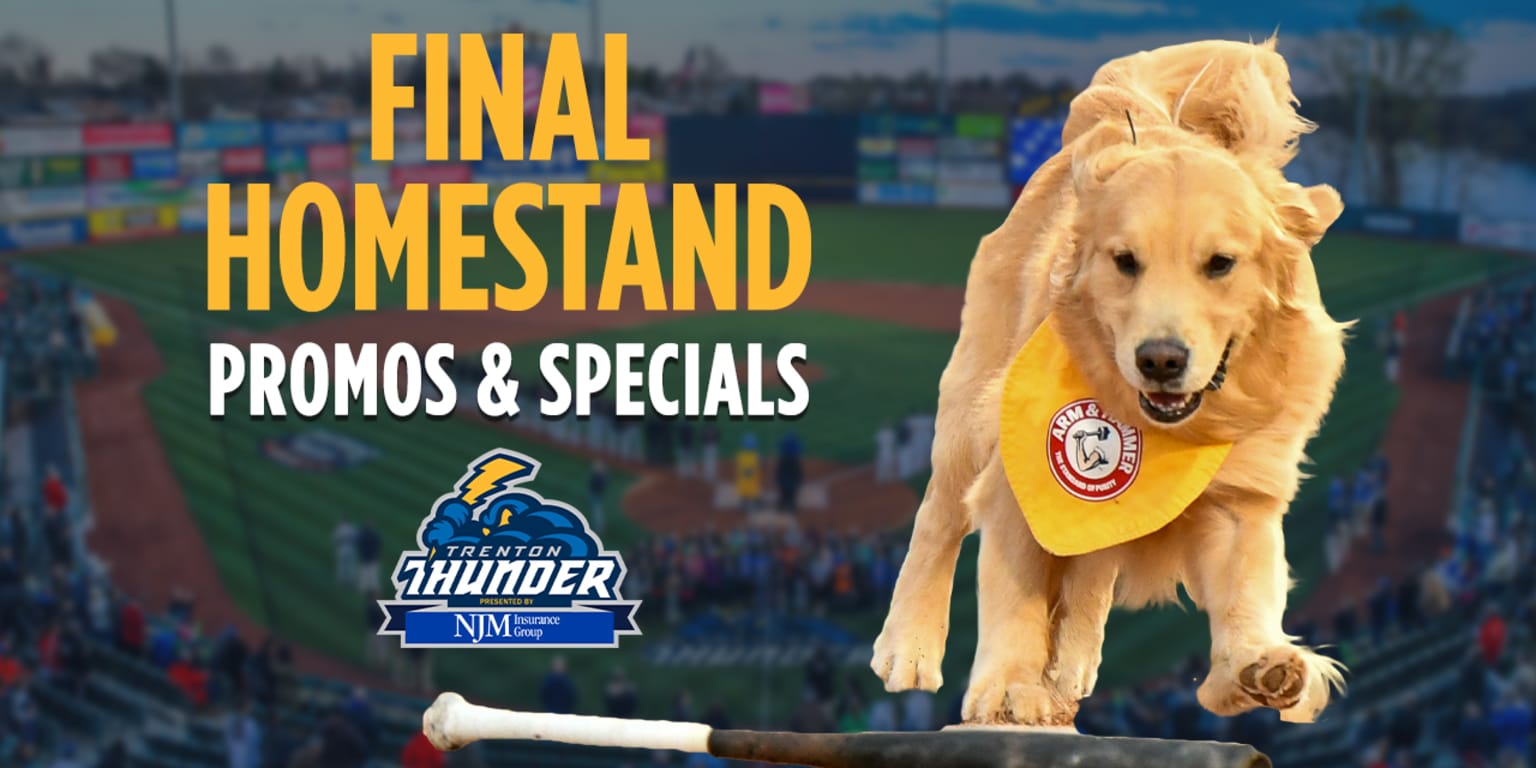Thunder Announce Final Homestand Promos and Giveaways | MiLB.com