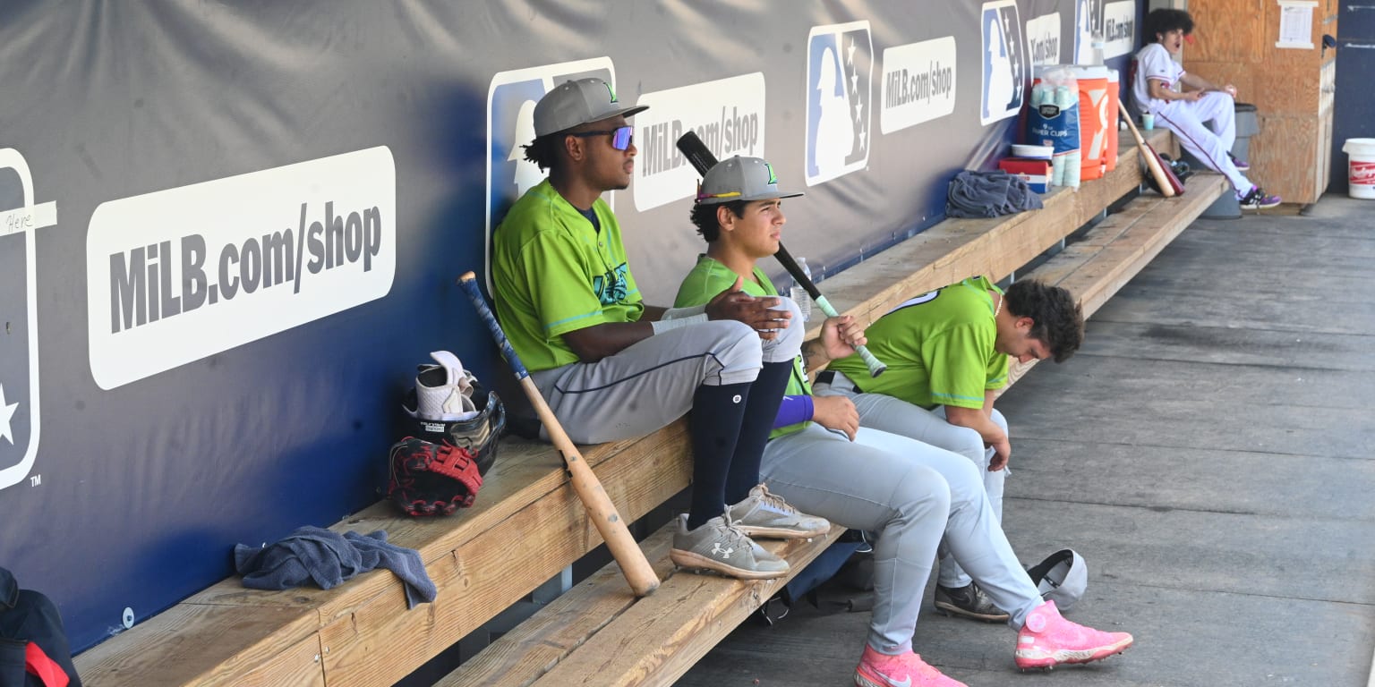 Two Hillcats Named to the 2024 Futures Game Roster | MiLB.com