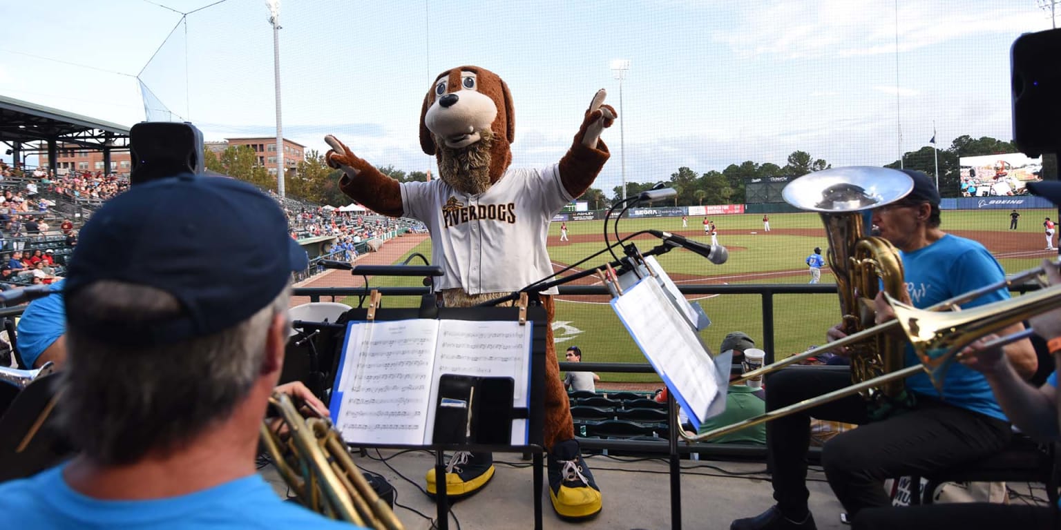 Fourth Inning Flurry guides Myrtle Beach Past RiverDogs | MiLB.com