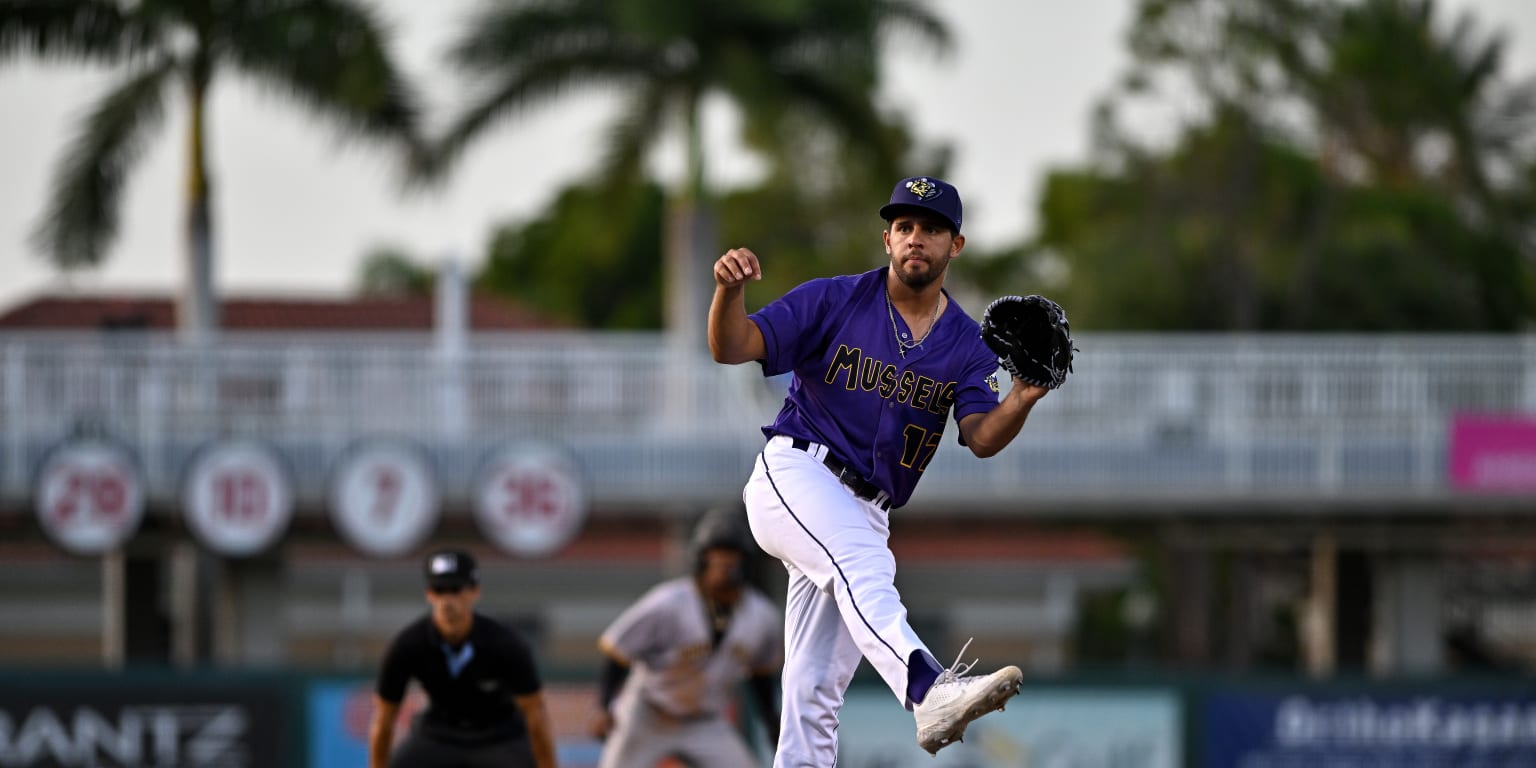 Castro Fans Nine in 7-3 Loss to Mets | MiLB.com