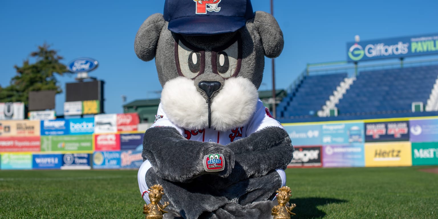 Slugger Nominated for Three Mascot Hall of Fame Awards | MiLB.com