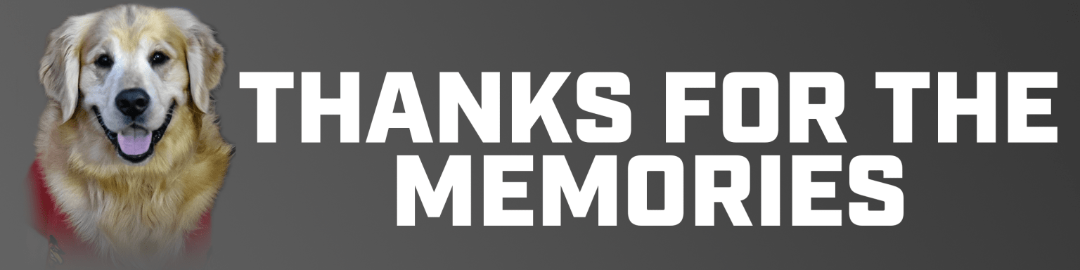 Milo The Bat Dog | Red Wings