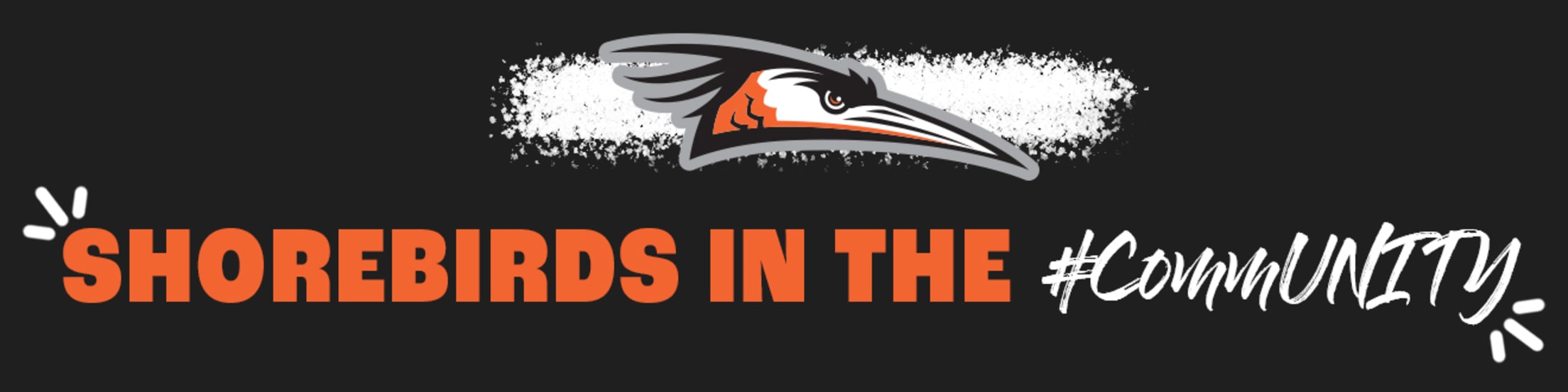 Shorebirds Community | Shorebirds