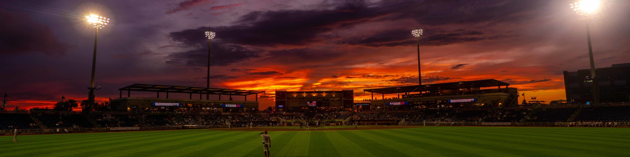 Blue Wahoos Mini Plans | Blue Wahoos