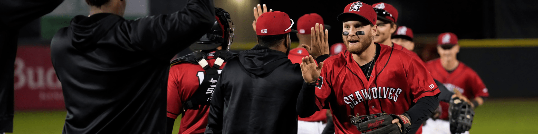 SeaWolves Mini Plans | SeaWolves