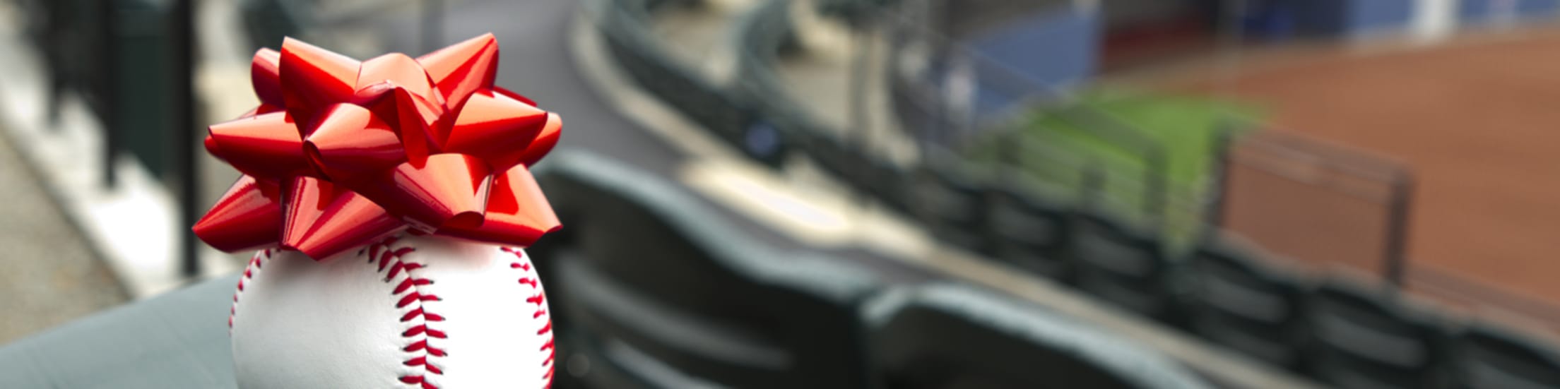 Host a Birthday Party At The Ballpark | Loons