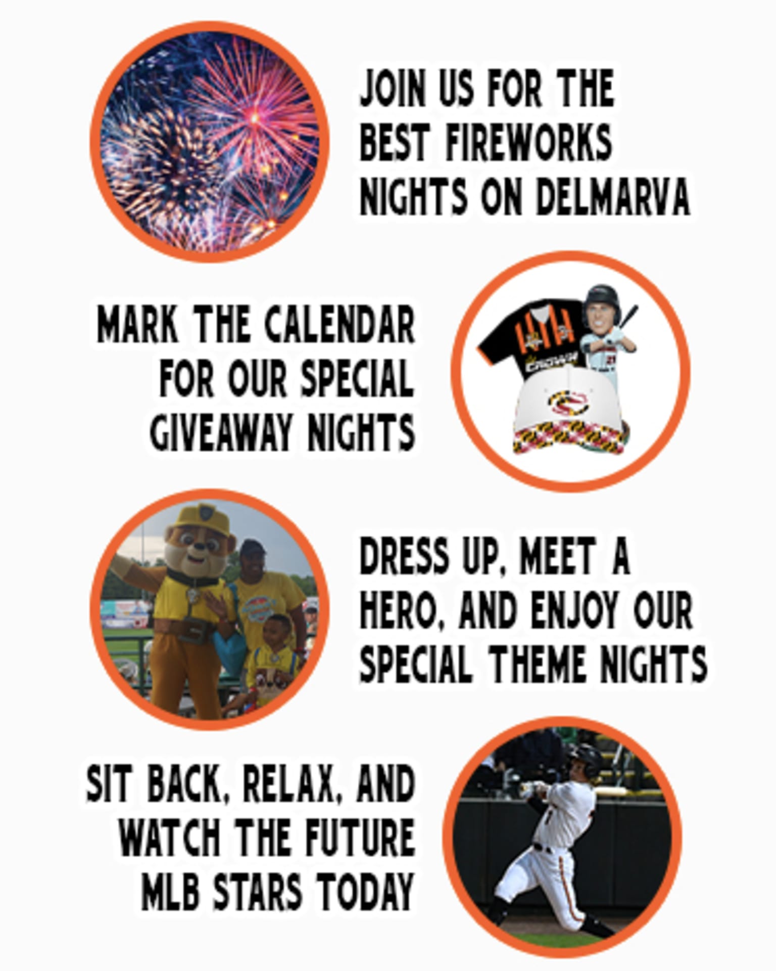 Shorebirds Mini Plans | Shorebirds