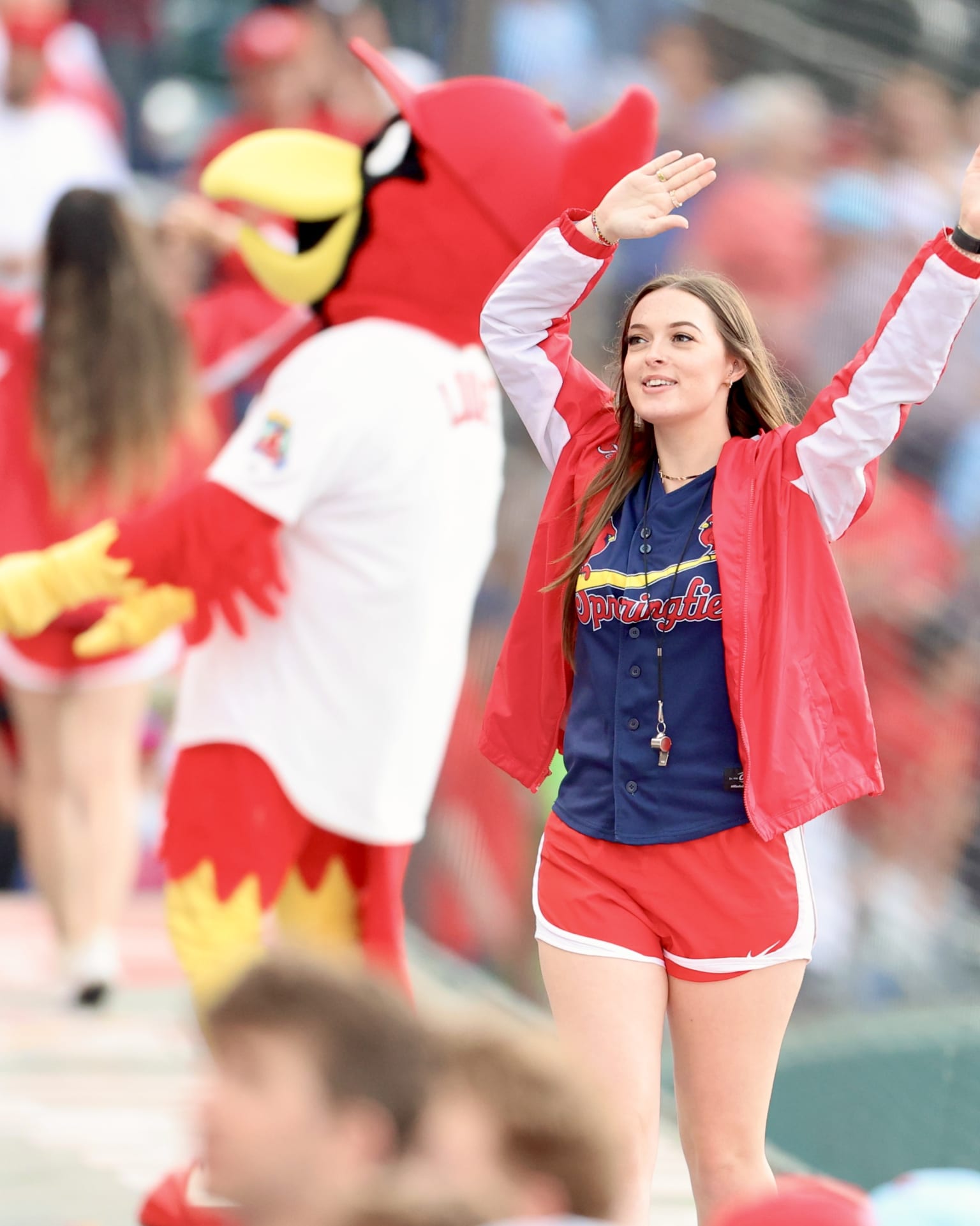 Team Louie | Cardinals