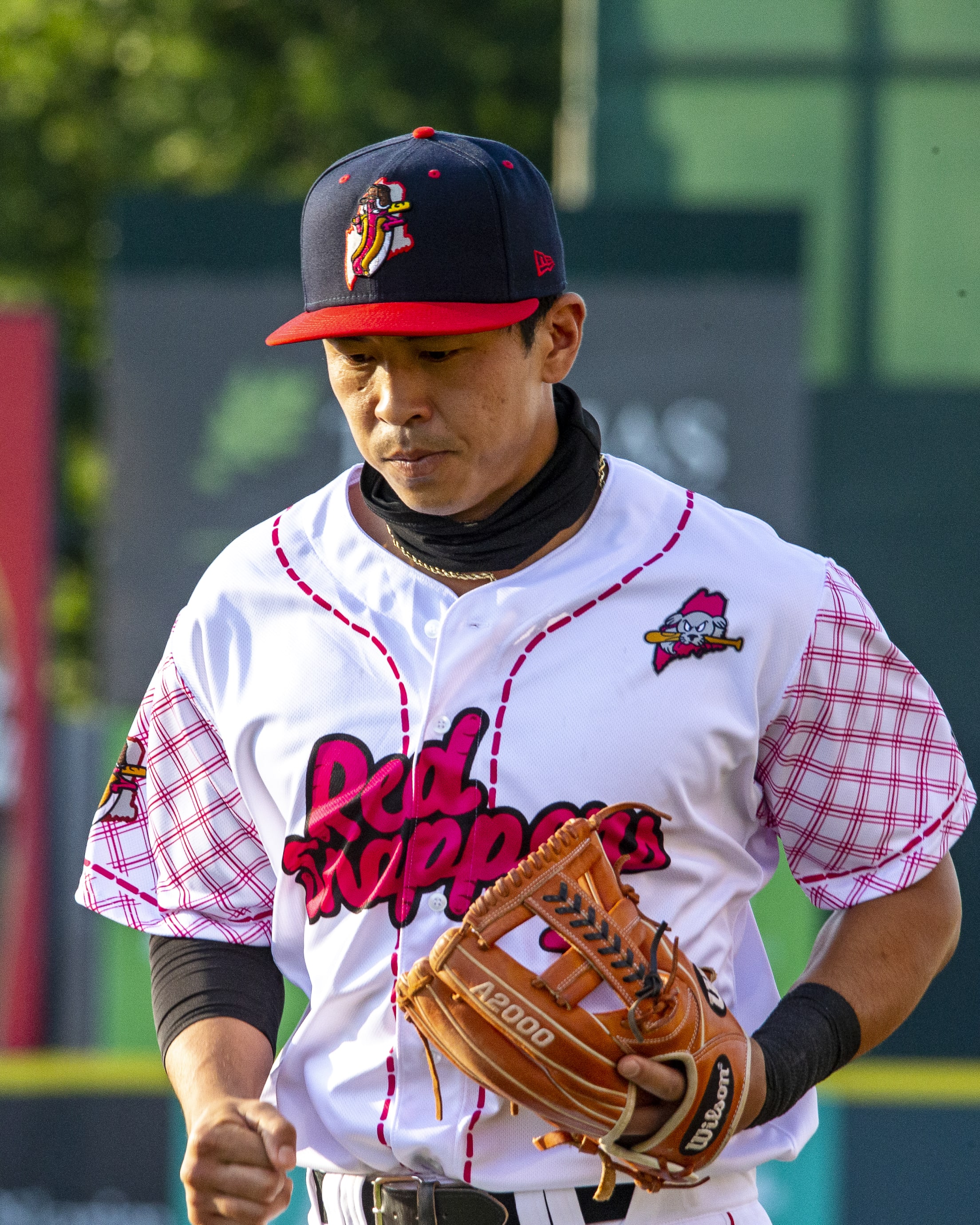 Maine Red Snappers | Sea Dogs