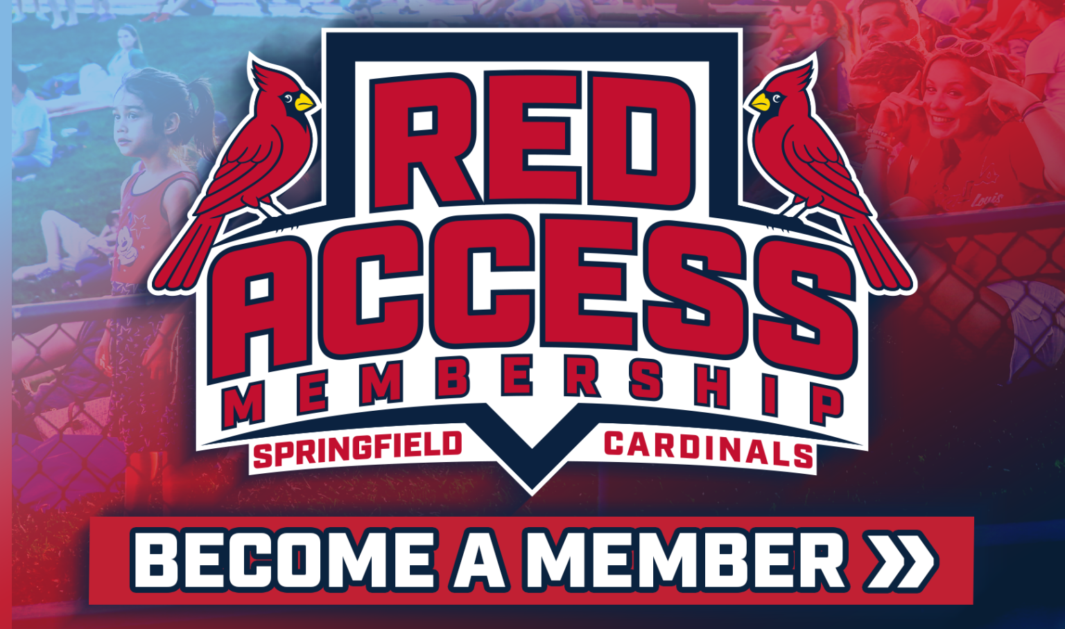 Springfield Cardinals Tickets Homepage | Cardinals