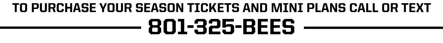 Salt Lake Bees Ticket Packages | Bees