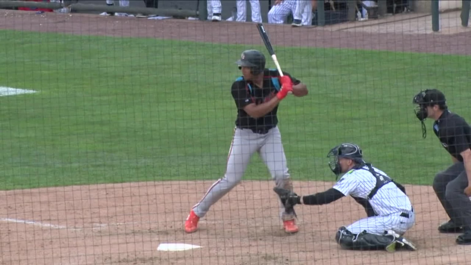 Samuel Basallo's three hits and two steals | 05/29/2024 | MiLB.com