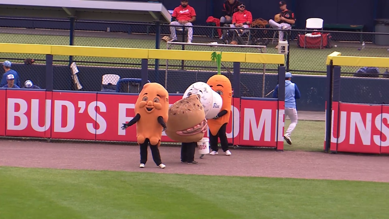 WCC Race - 8/11/2024 | 08/11/2024 | Bisons