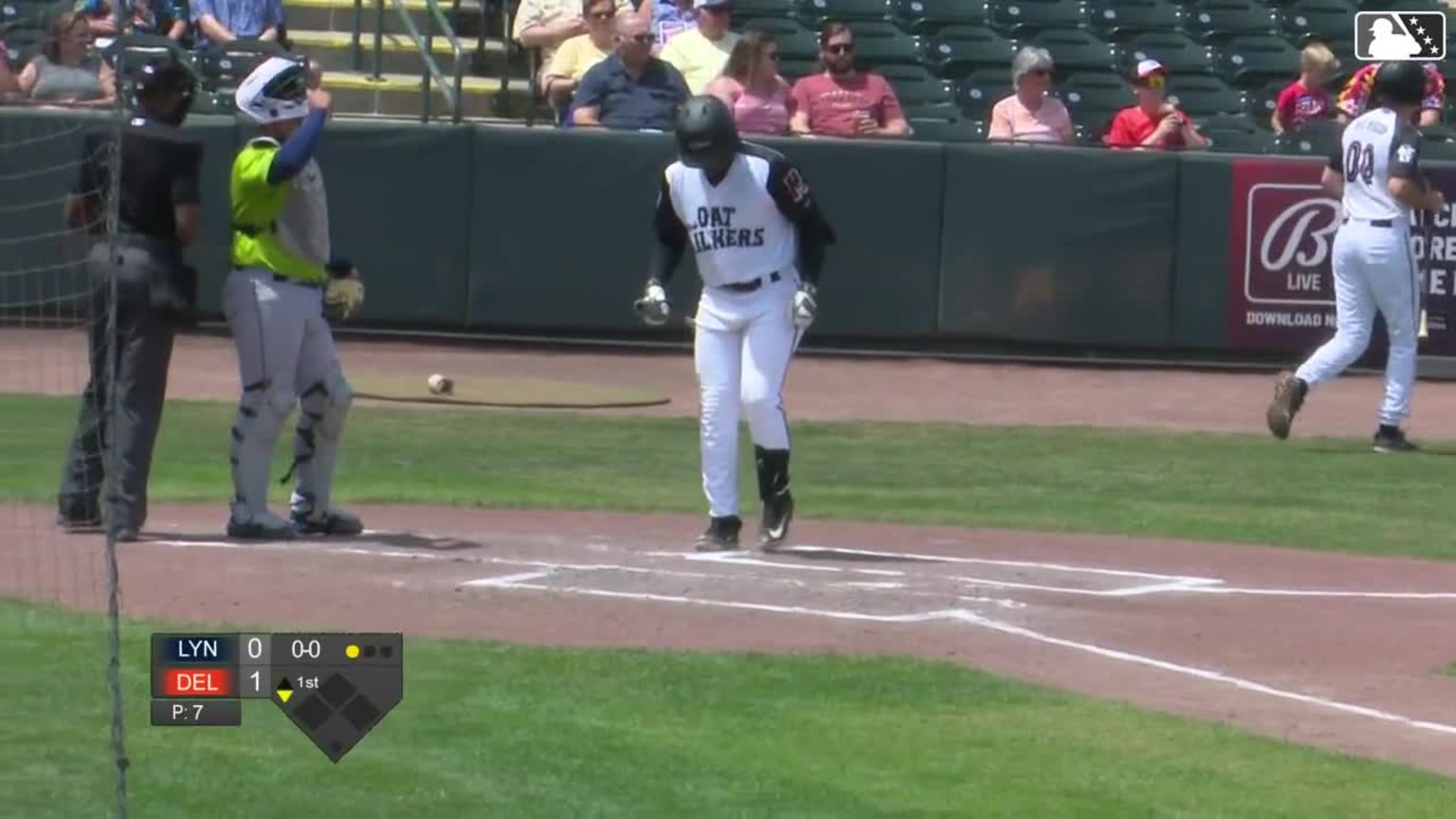 Leandro Arias' solo home run | 06/09/2024 | Shorebirds