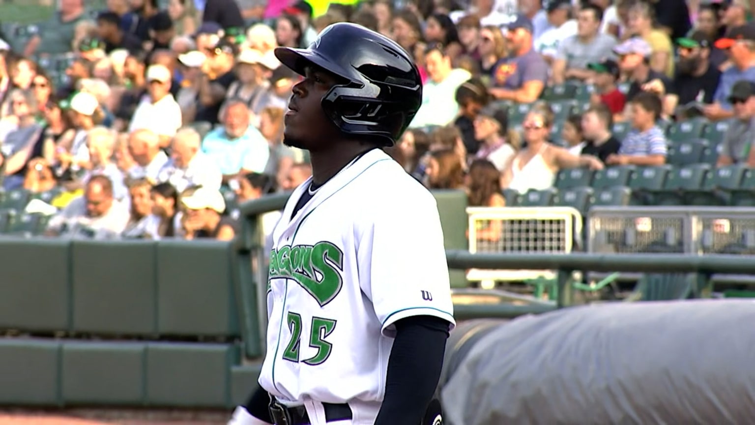 Hector Rodriguez's multi-homer game | 07/24/2024 | MiLB.com