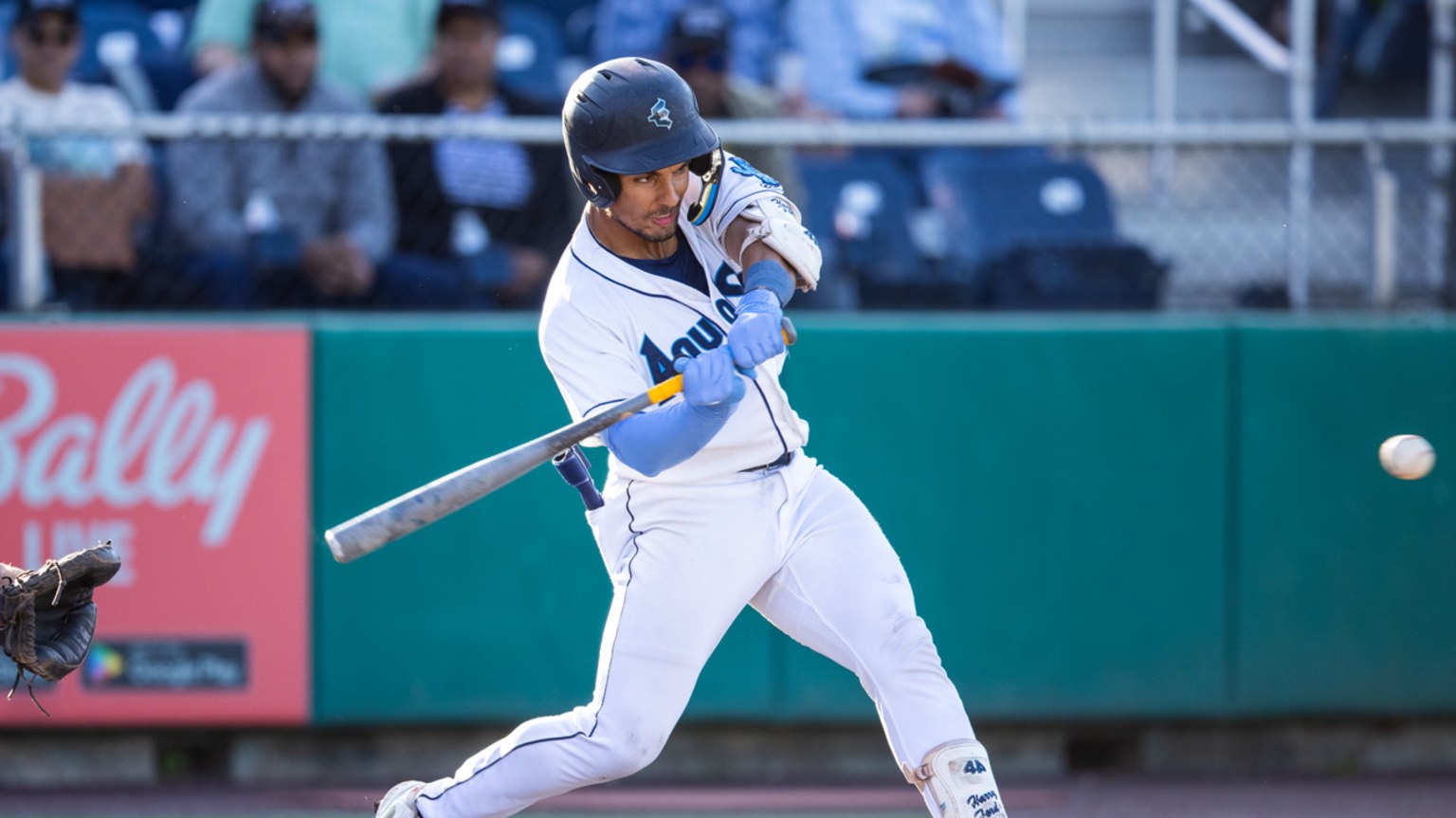 Harry Ford's four-hit performance | 06/07/2023 | AquaSox
