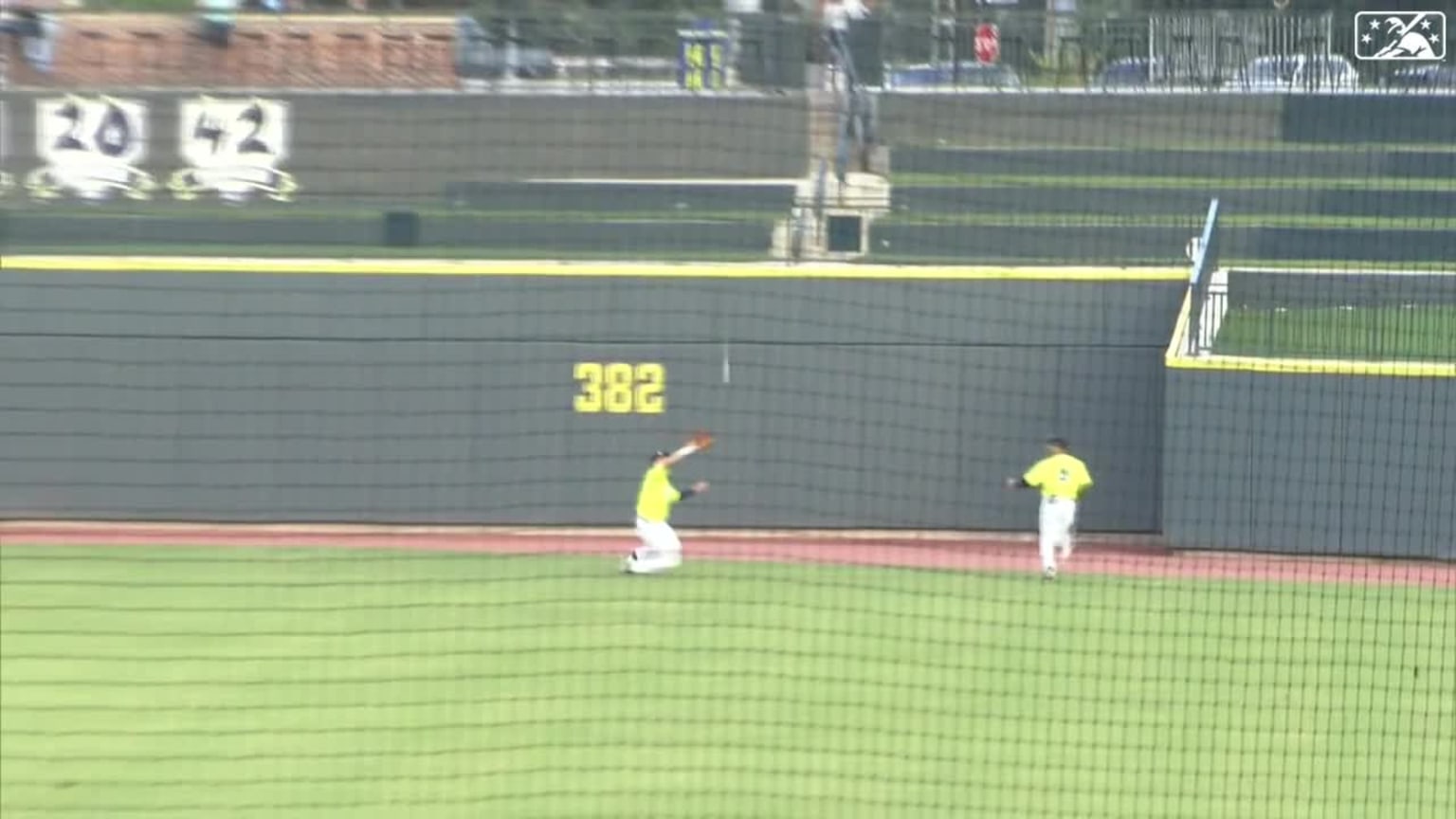 Cross makes sliding catch | 08/18/2022 | MiLB.com