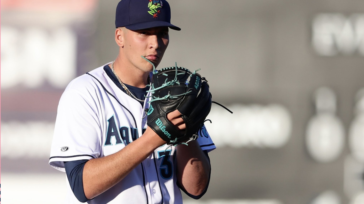 Brandyn Garcia's career-high 12 strikeouts | 06/21/2024 | AquaSox