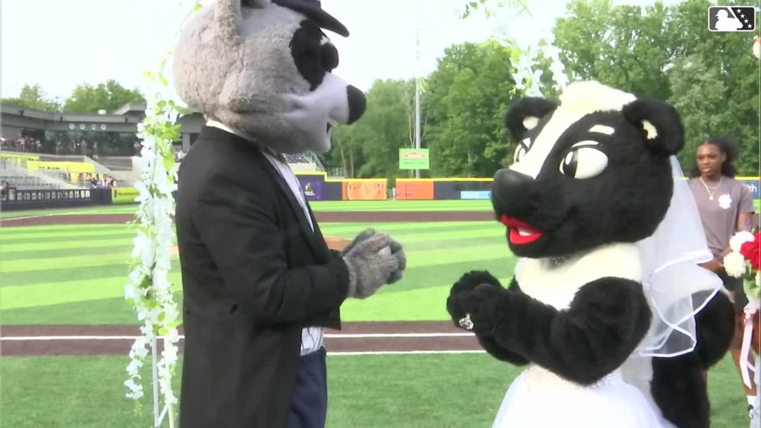 High-A Hudson Valley mascots get married | 07/20/2024 | MiLB.com