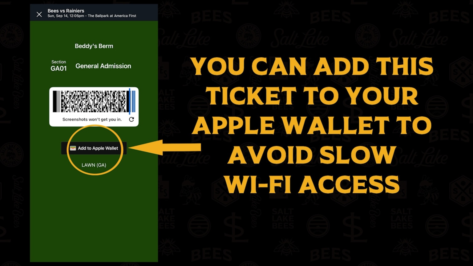 How to get tickets on the app | 06/03/2025 | Bees