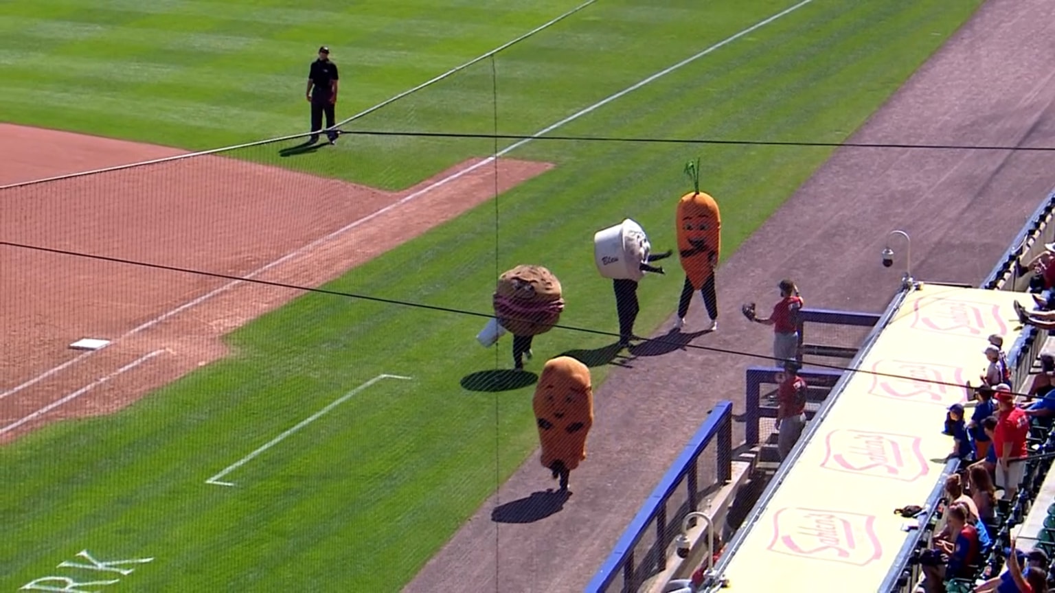 Buffalo food race | 09/04/2023 | Bisons