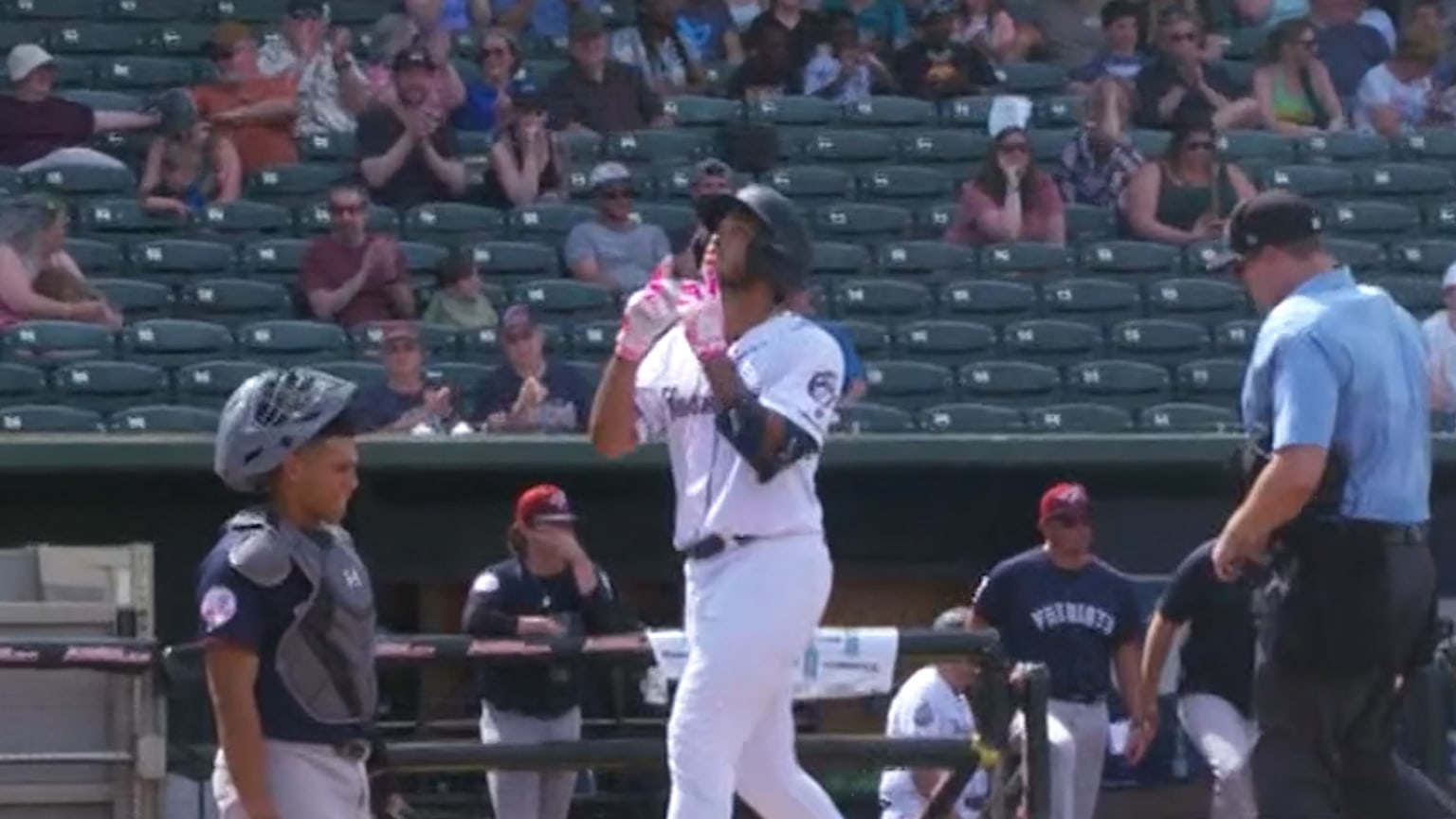 Alex De Jesus' two homer game | 05/26/2024 | Fisher Cats