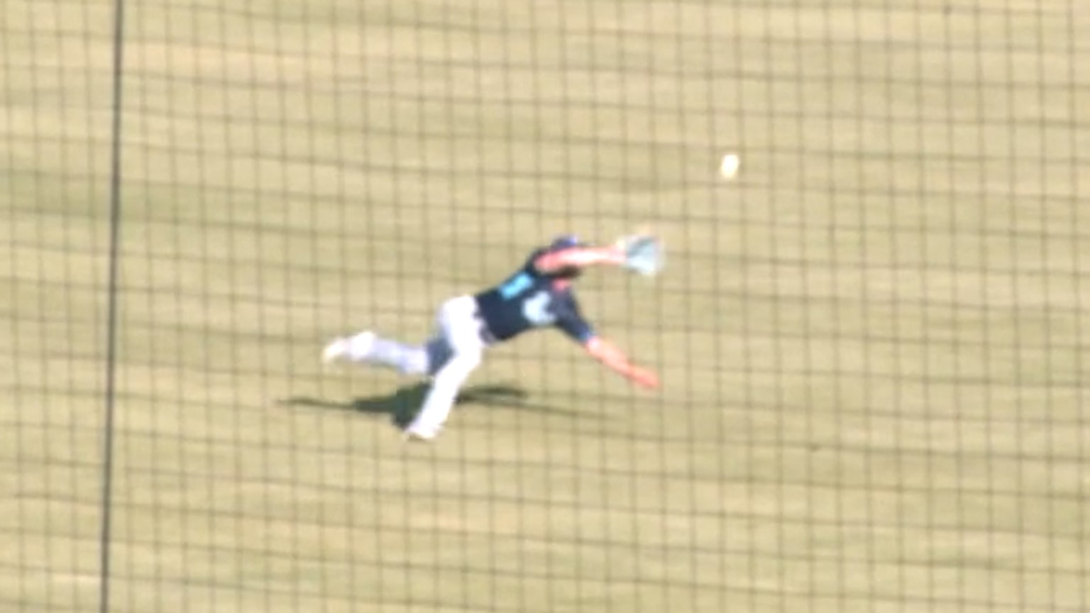 Colin Barber's diving grab | 05/15/2024 | Hooks