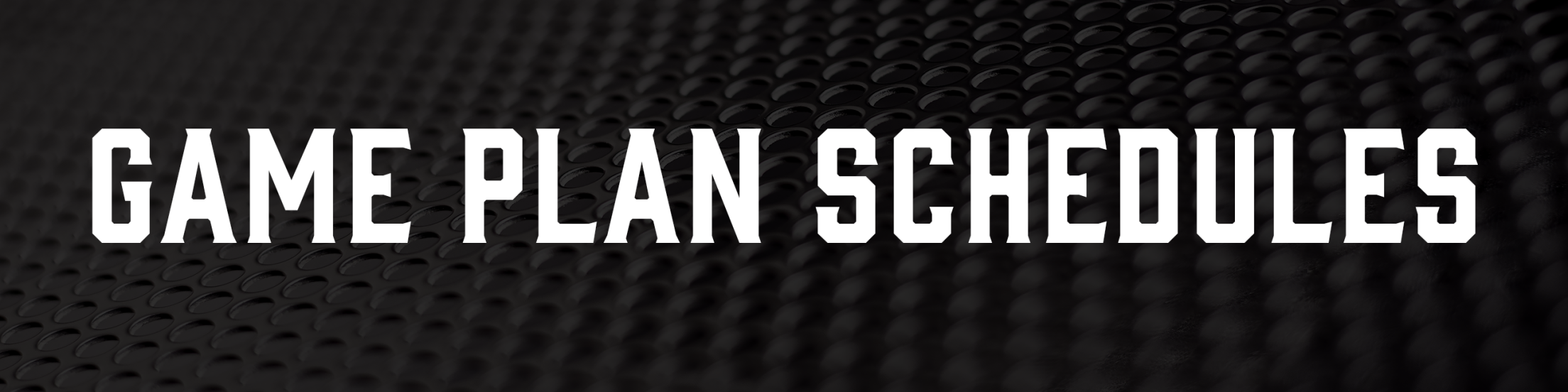 Game Plan Schedules | Dragons